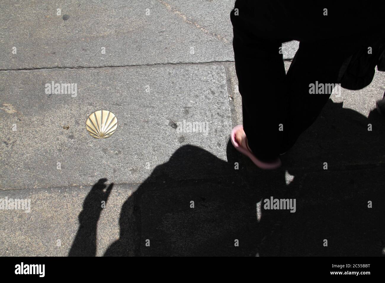 Scallop shell, iconic symbols of the Camino de Santiago pilgrimage in ...