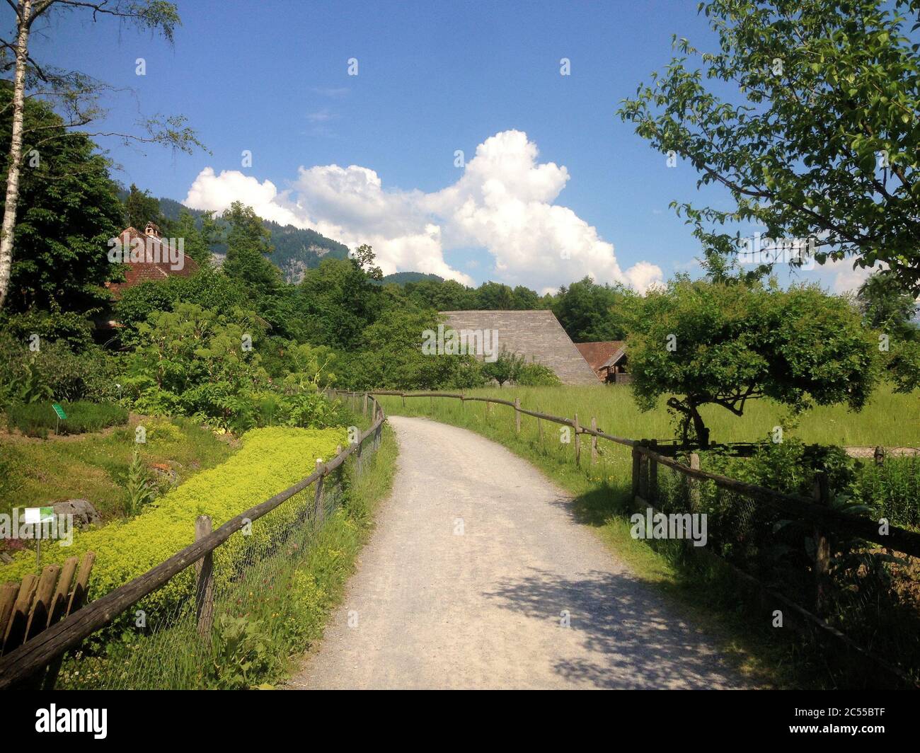 Rural area in Brienzwiler Switzerland Stock Photo - Alamy