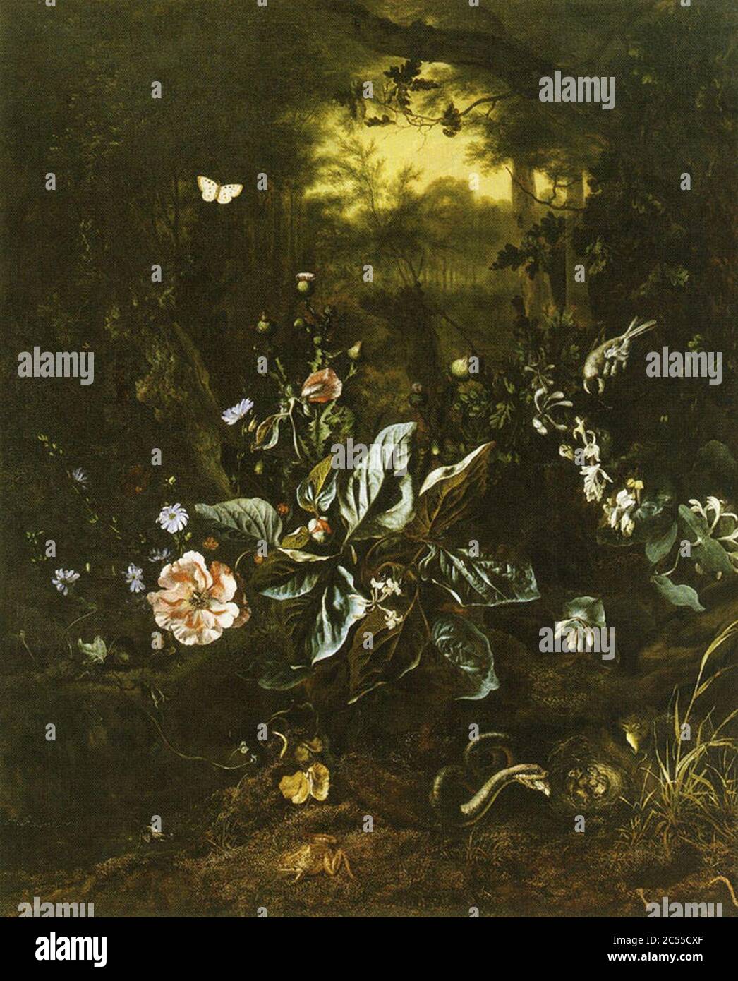 The frog and mouse hi-res stock photography and images - Alamy