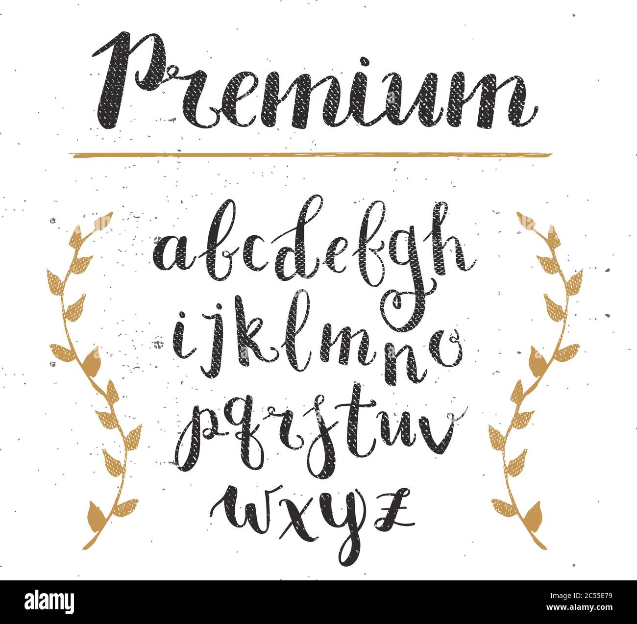 Vector Hand Drawn Script Alphabet. Letters Written with a Brush Pen with Ink Stock Vector Image ...