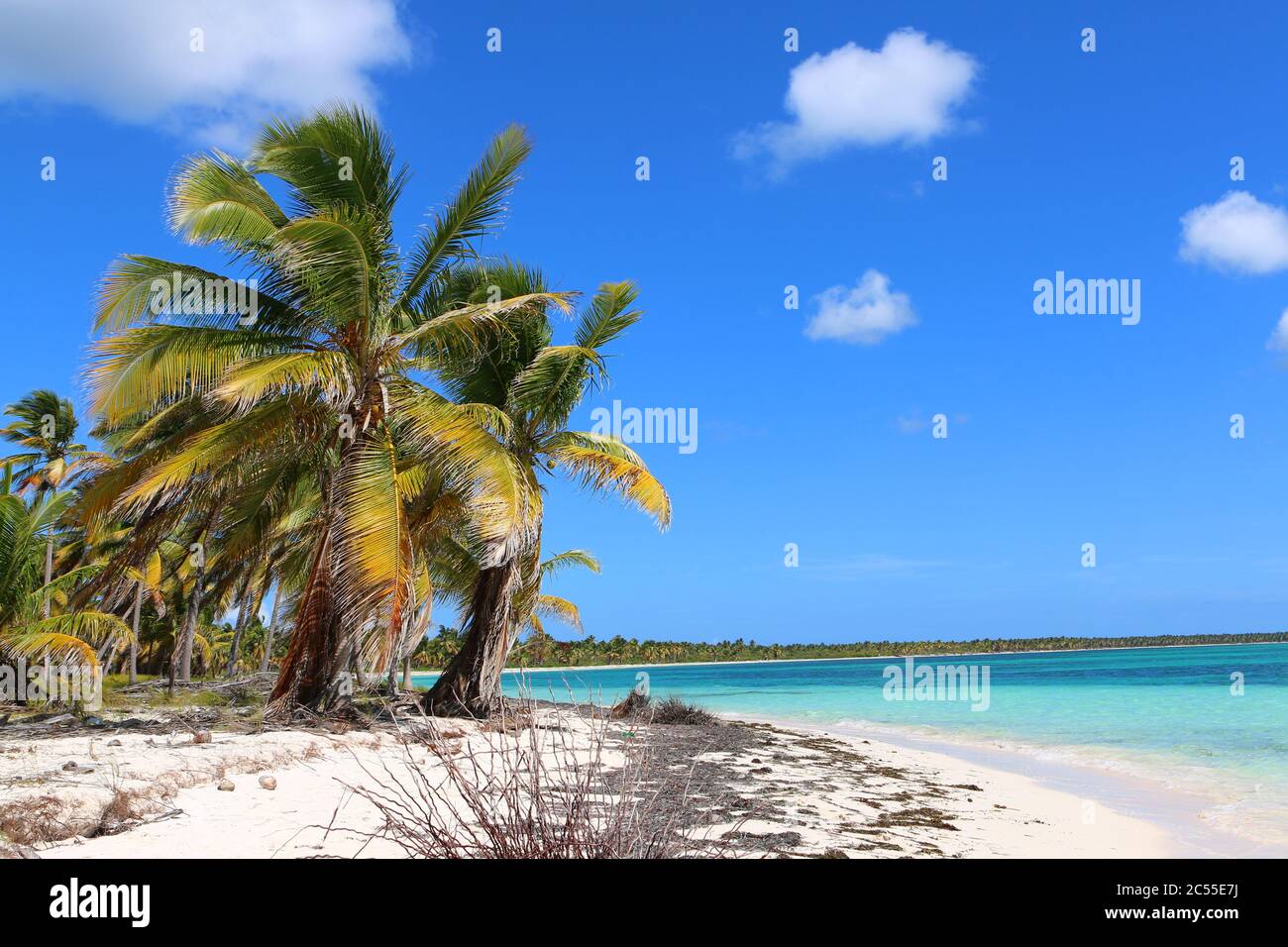 Saona island dominican republic hi-res stock photography and images - Alamy