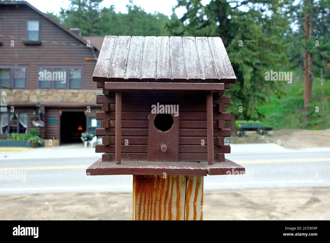 Beautiful mini house for the birds made of timber and put in the street ...