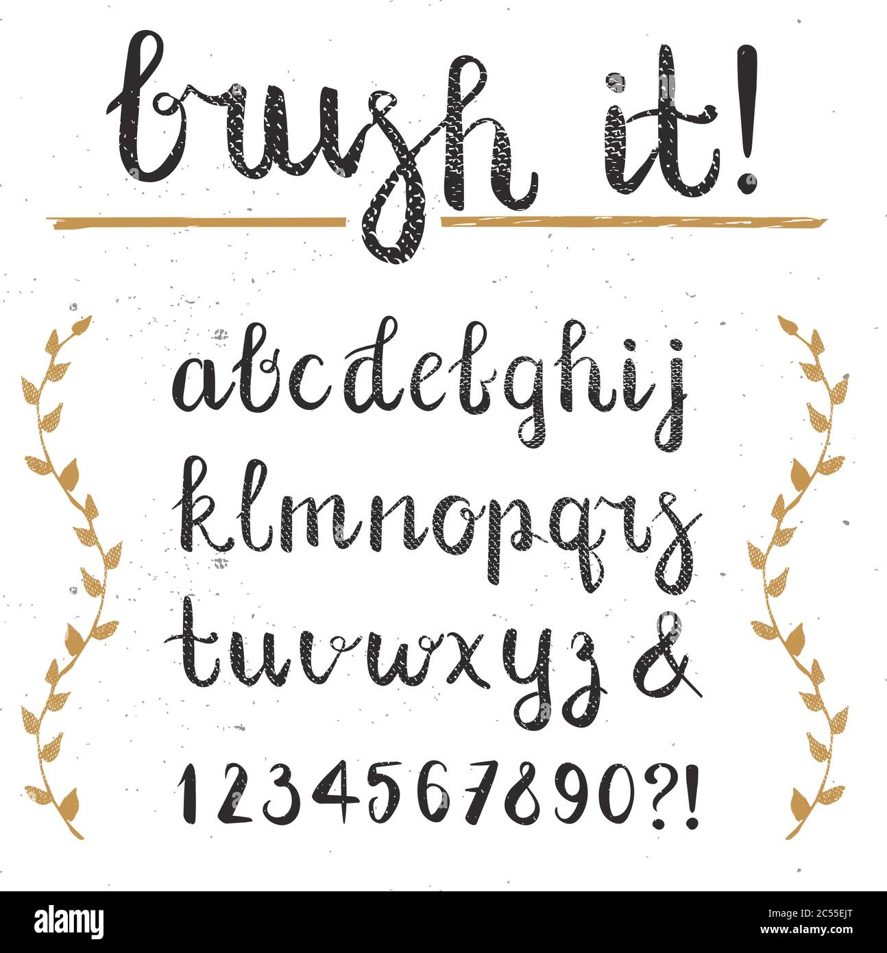 Vector Hand Drawn Script Alphabet. Letters Written with a Brush Pen with Ink Stock Vector Image ...