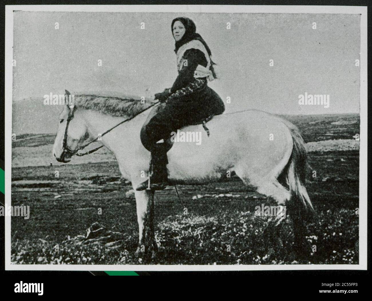 Hest hi-res stock photography and images - Alamy