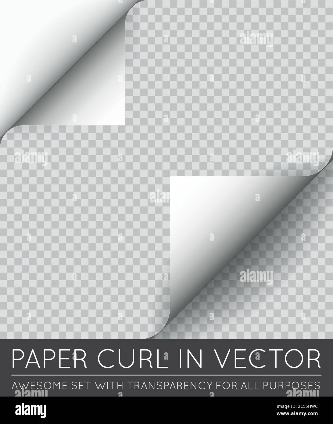 Vector Paper Page Curl with Shadow Isolated Stock Vector Image & Art ...