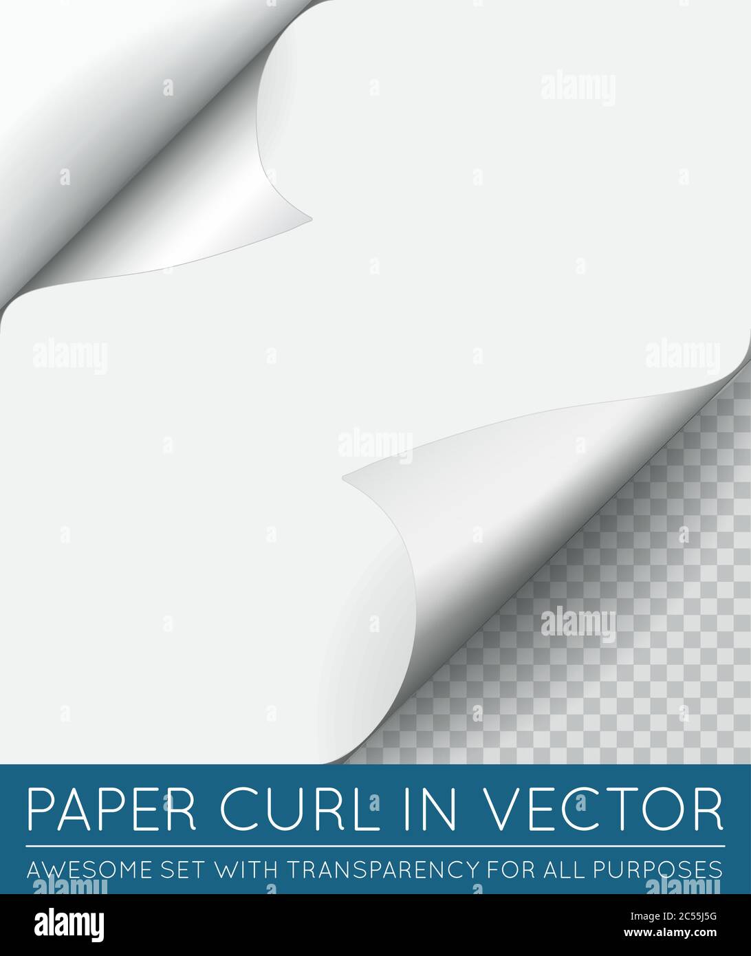 Vector Paper Page Curl with Shadow Isolated Stock Vector Image & Art ...