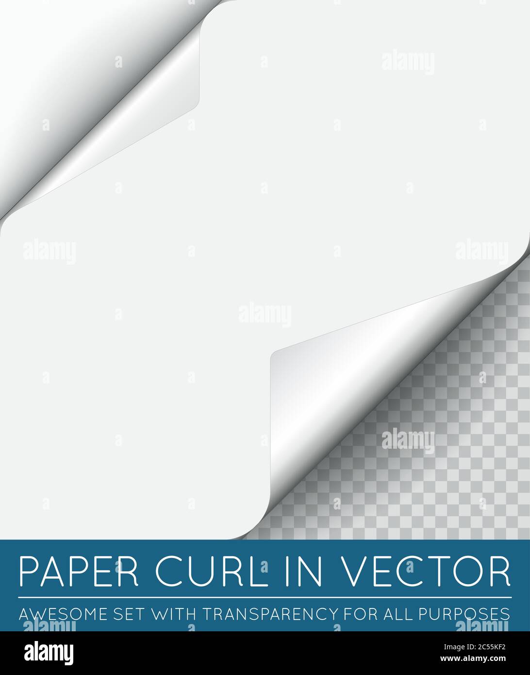 Vector Paper Page Curl with Shadow Isolated Stock Vector Image & Art ...