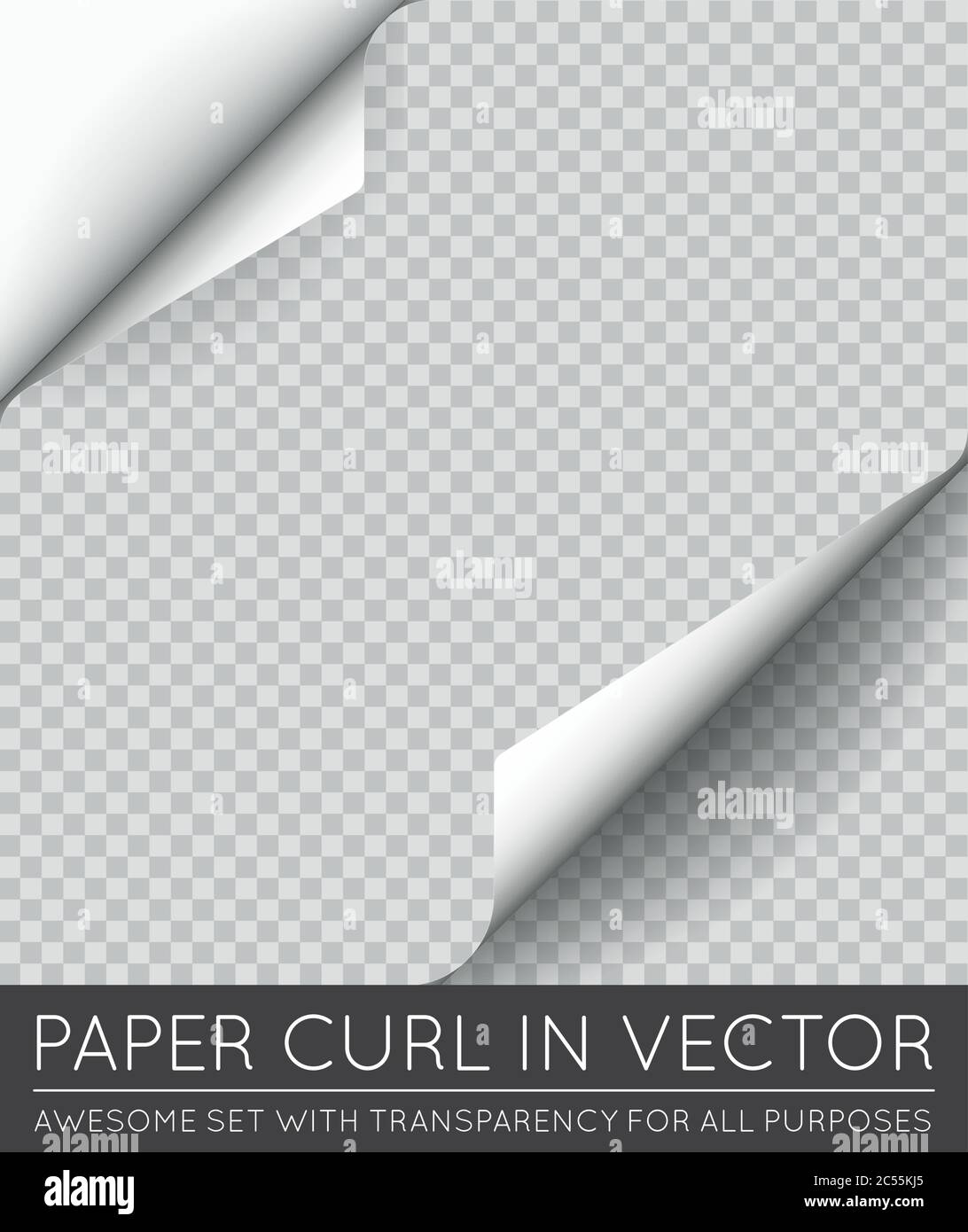 Vector Paper Page Curl with Shadow Isolated Stock Vector Image & Art ...
