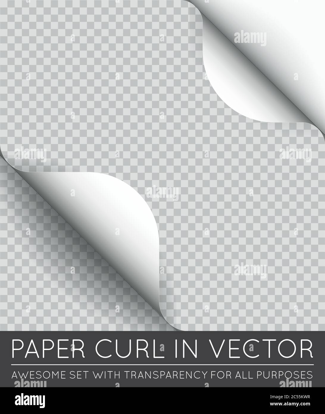 Vector Paper Page Curl with Shadow Isolated Stock Vector Image & Art ...