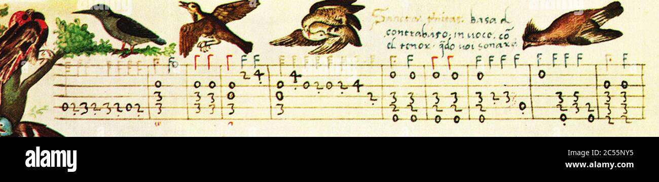 Italian Lute Tabulature Stock Photo - Alamy