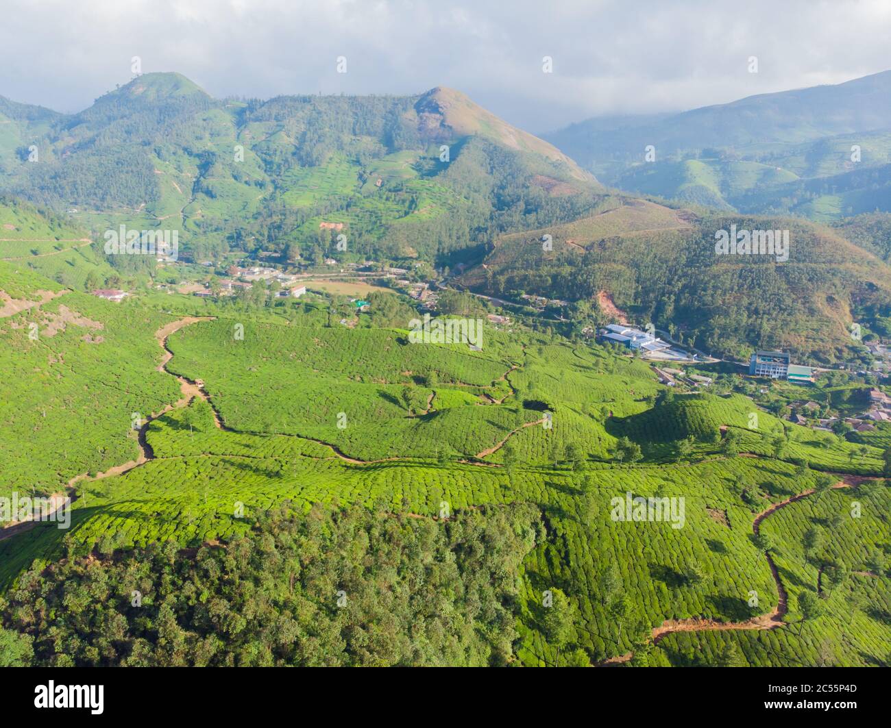Aerial view of tea plantations near the city of Munar. India Stock ...