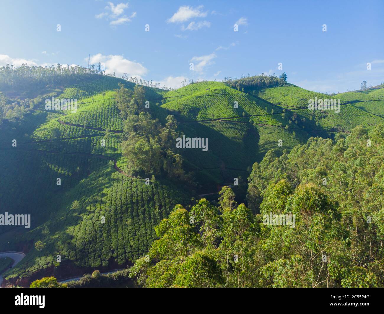 Aerial view of tea plantations near the city of Munar. India Stock ...