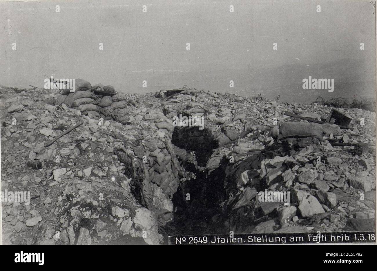 Fajti hrib hi-res stock photography and images - Alamy