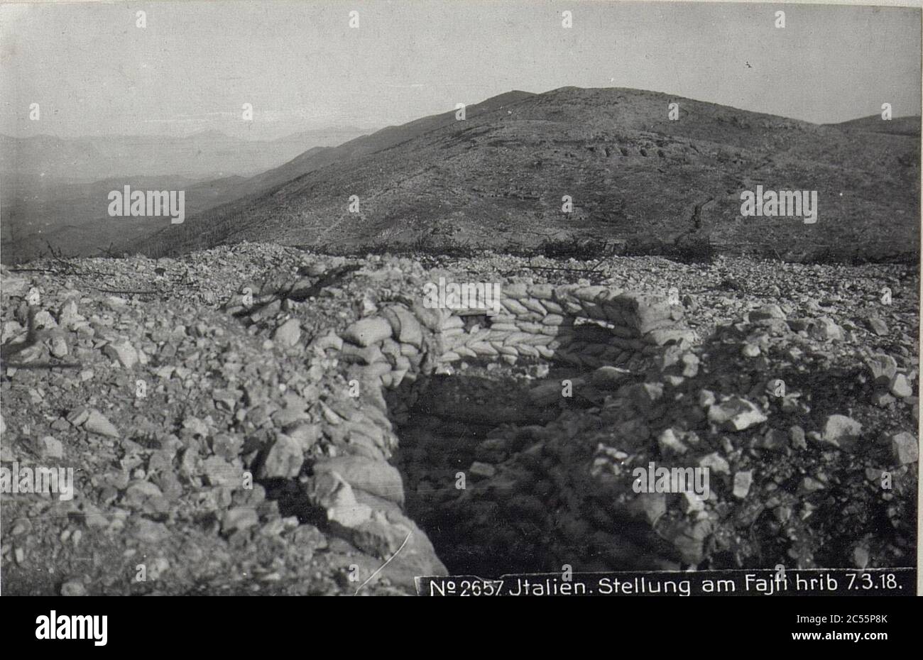 Fajti hrib hi-res stock photography and images - Alamy