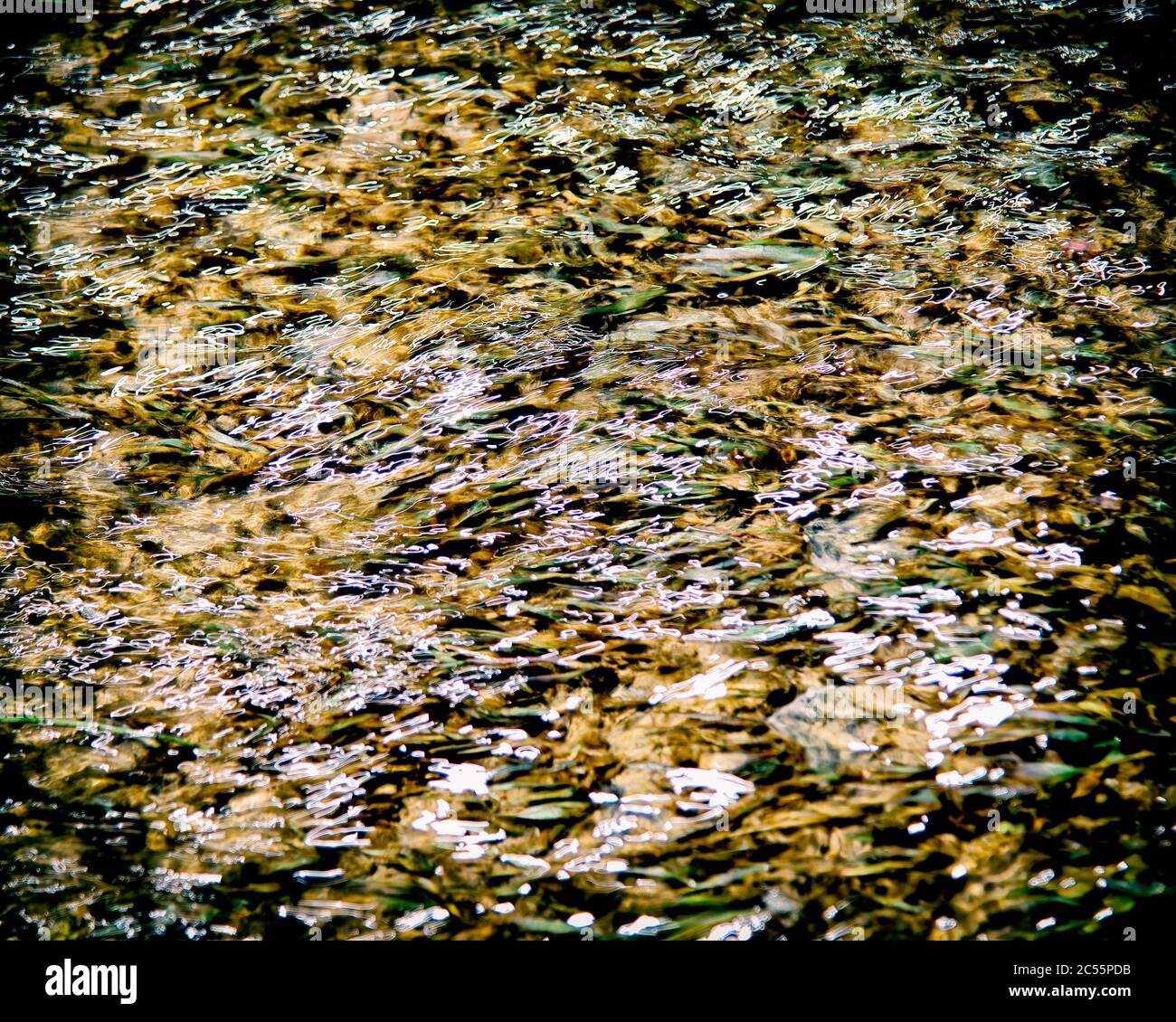 Shimmering Water in River, Close-up Stock Photo - Alamy