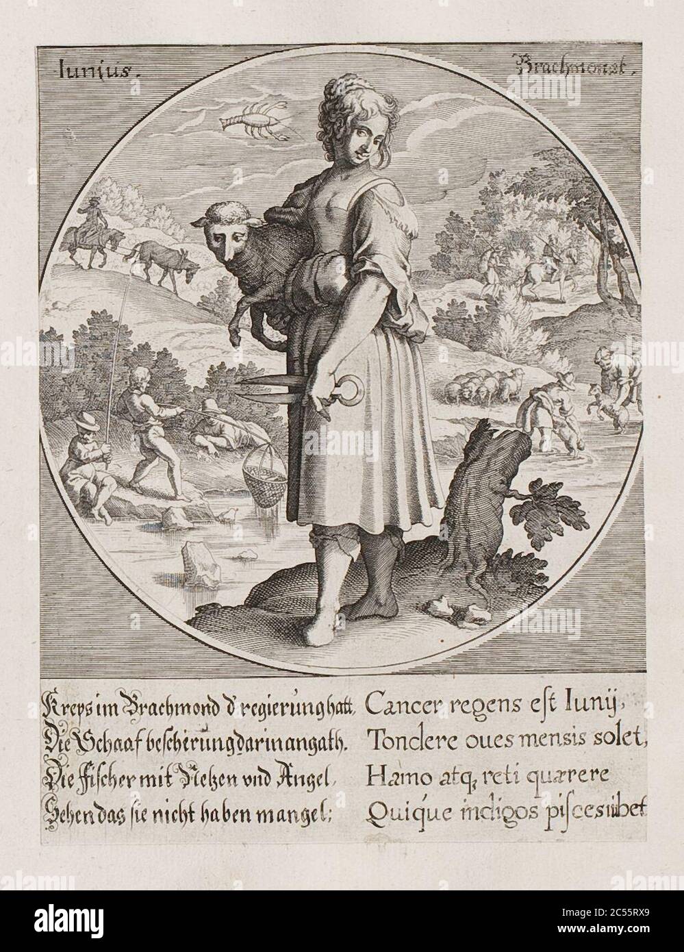 Iunius High Resolution Stock Photography and Images - Alamy