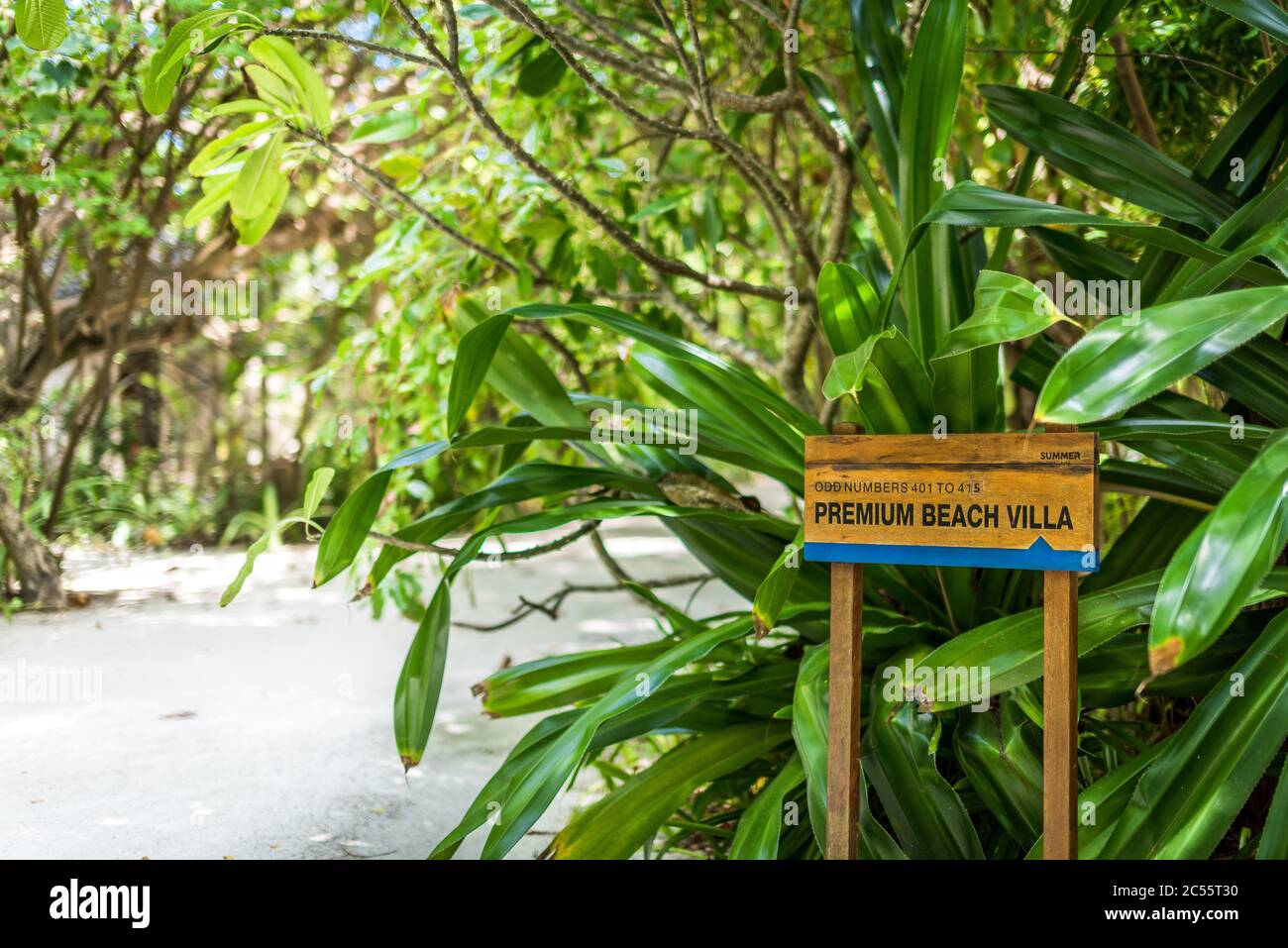 Maldives vacation hi-res stock photography and images - Alamy