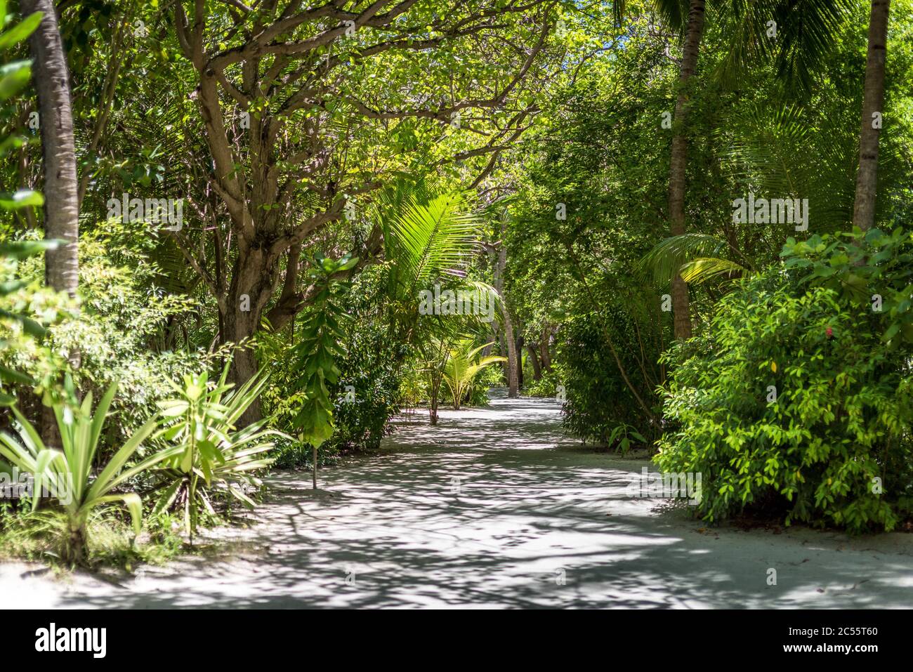 Maldives vacation hi-res stock photography and images - Alamy