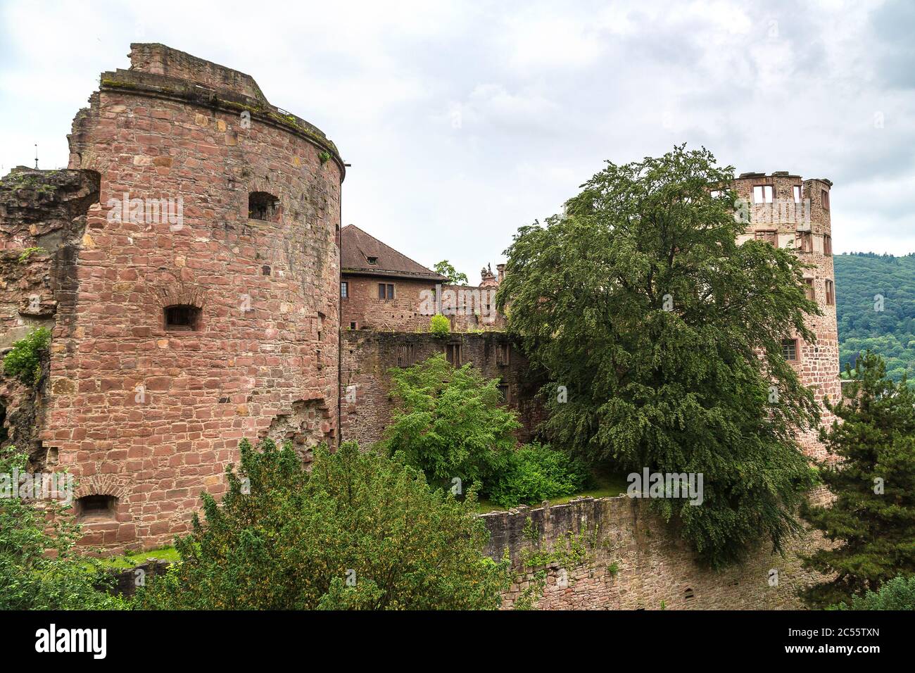 Panoramic aerial view of Heidelberg and ruins of Heidelberg Castle (Heidelberger Schloss) in a ...