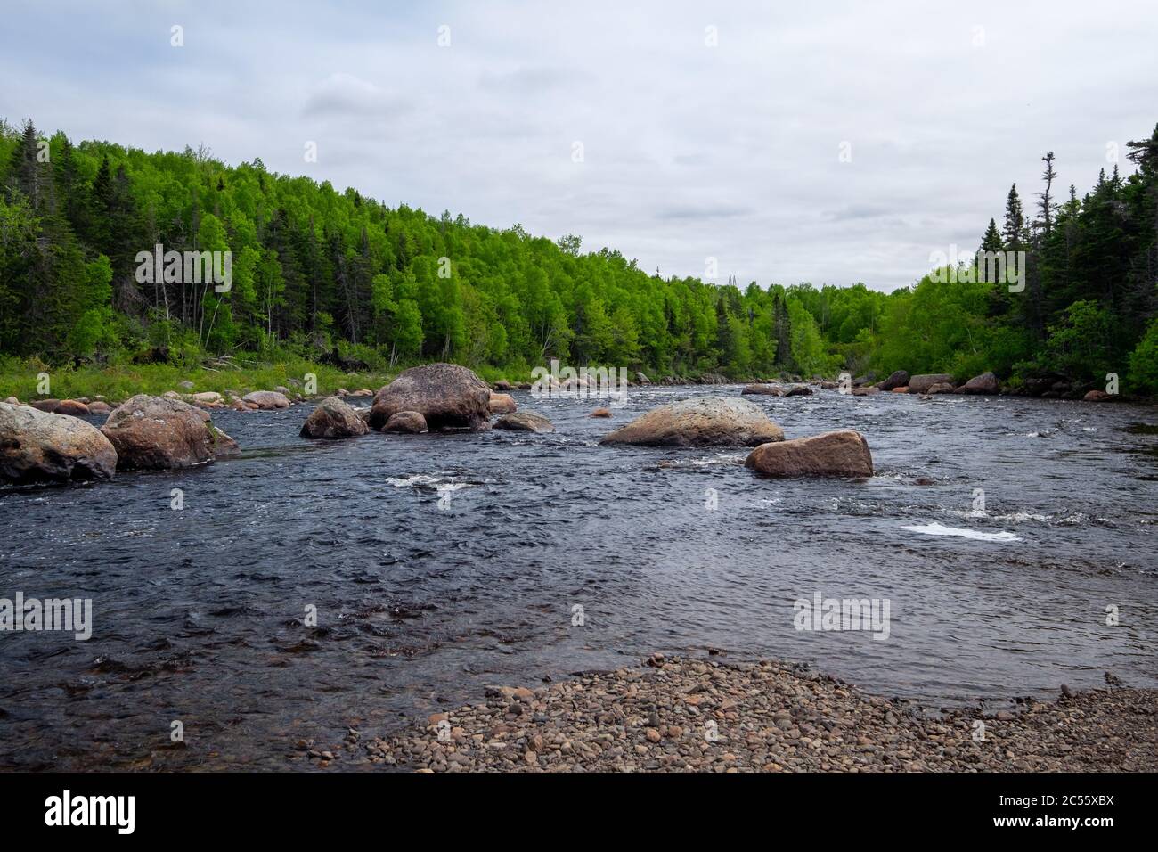 A river with large boulders scattered throughout. There are large green ...