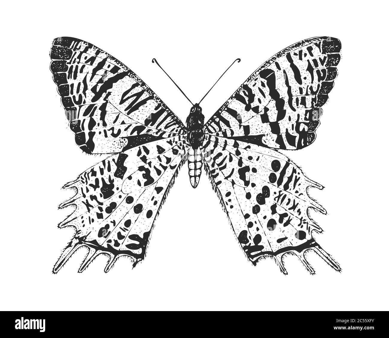 Madagascan sunset moth chrysiridia rhipheus Stock Vector Images - Alamy