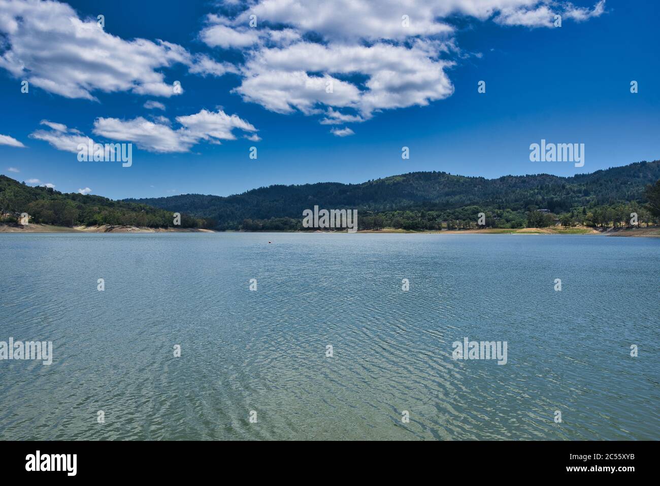 Lake in Lexington Reservoir County Park in USA Stock Photo - Alamy