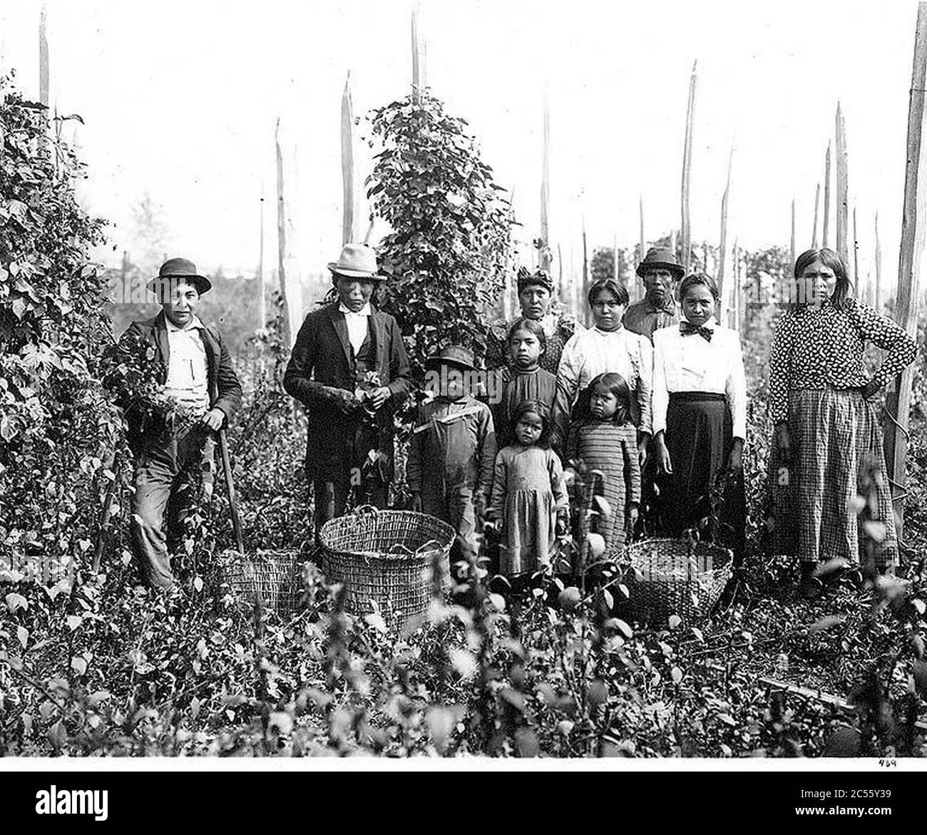 Hop pickers hi-res stock photography and images - Alamy
