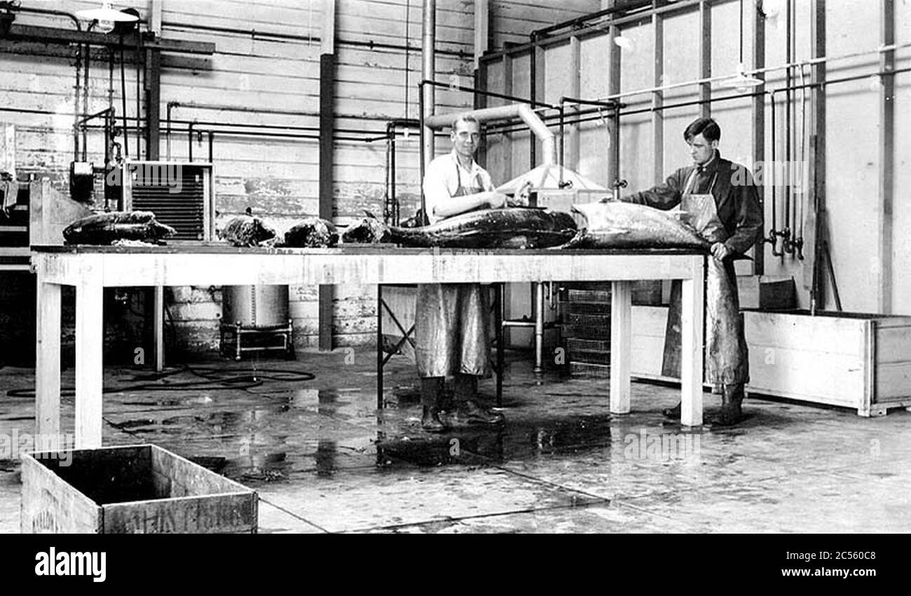 University of washington seattle 1920 hi-res stock photography and ...