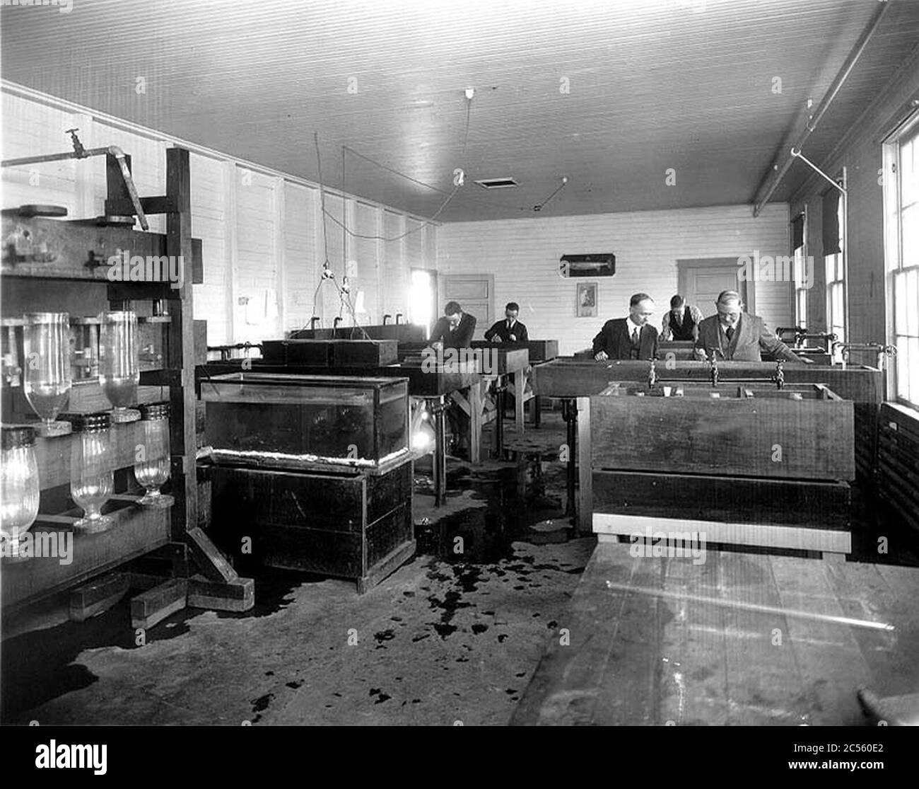 University of washington seattle 1920 hi-res stock photography and ...