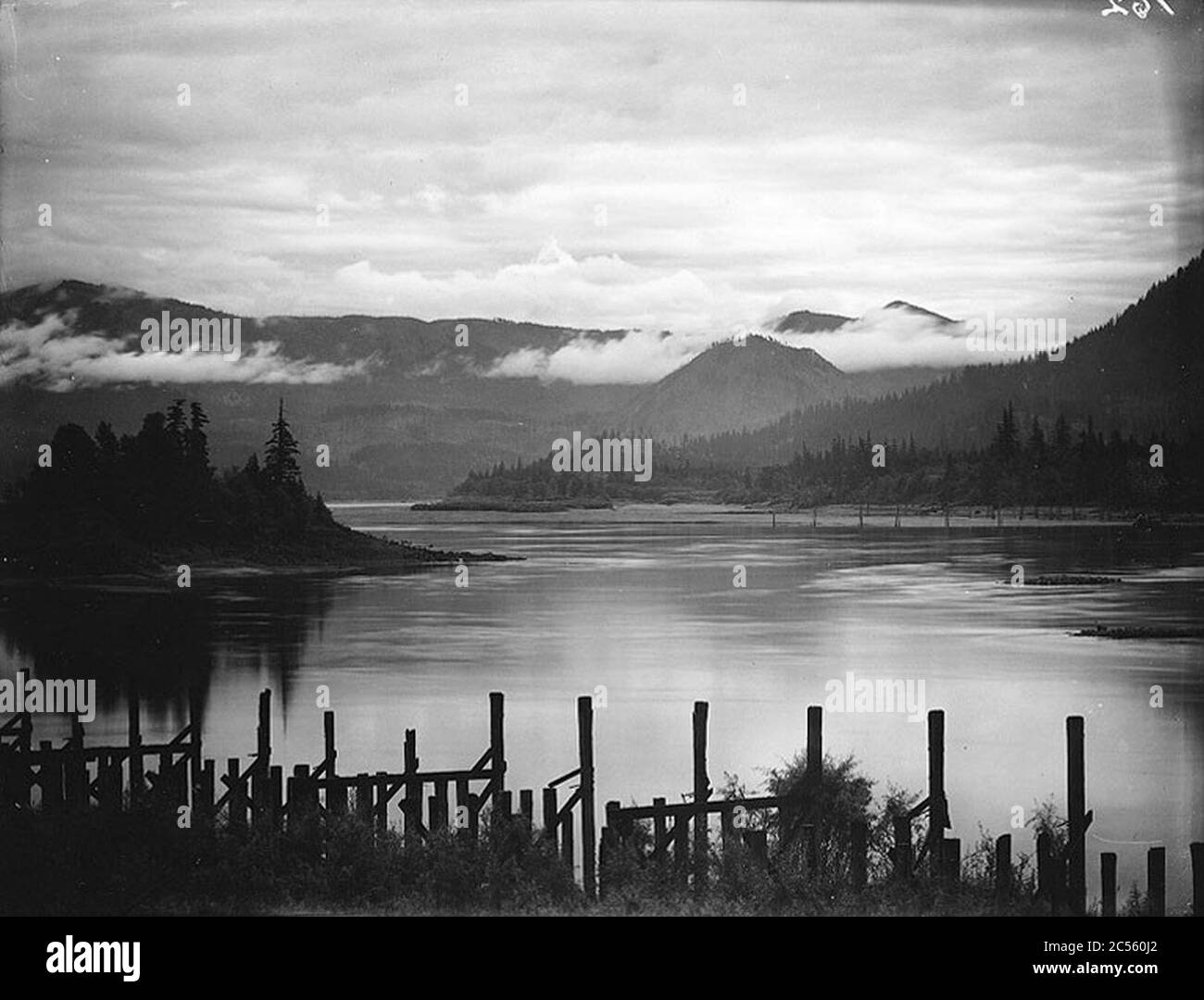 Island in the Upper Columbia River Washington ca 1913 (BAR 26 Stock ...