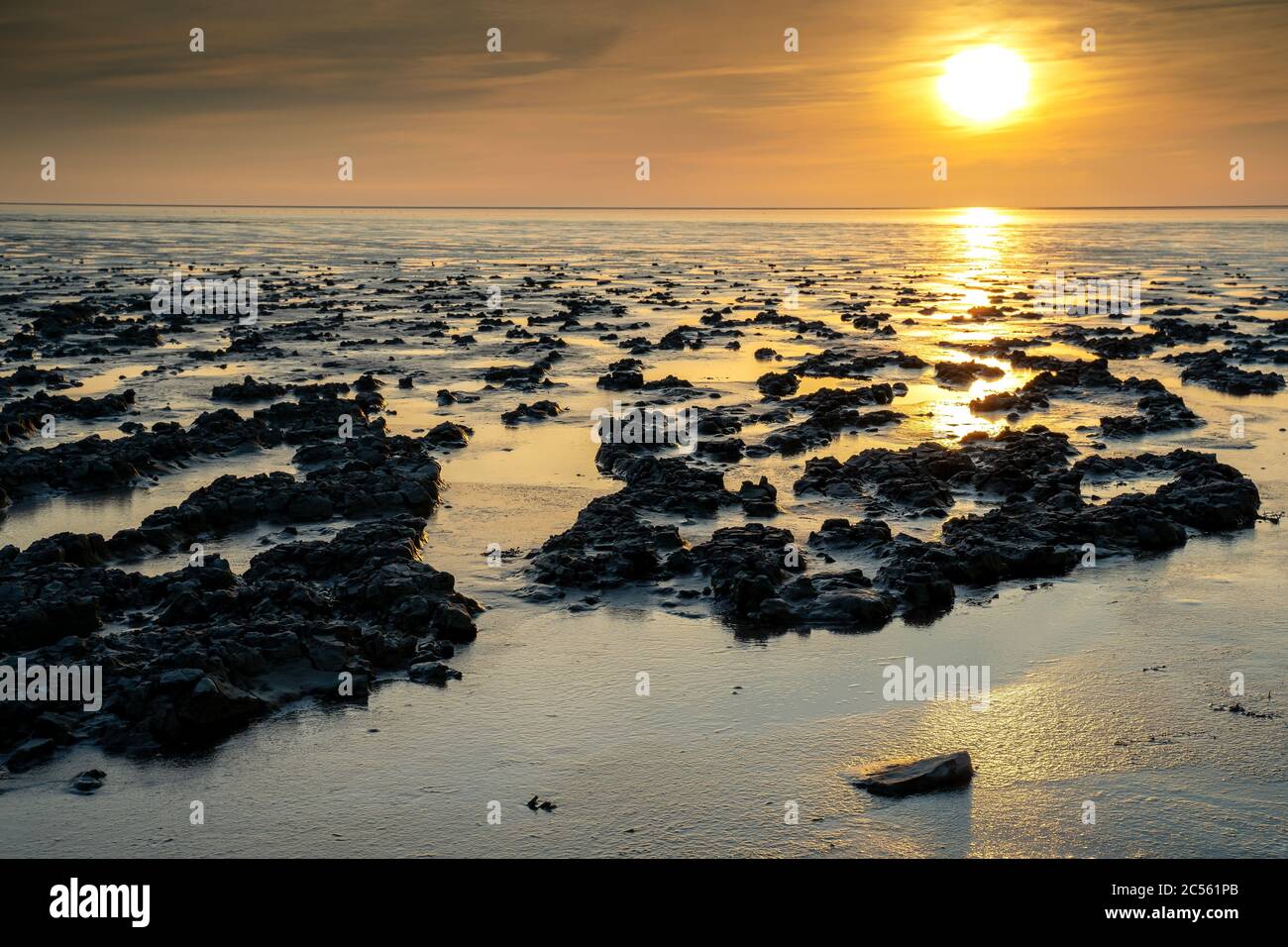 Breathtaking view of mudflat of the Waddenzee during low tide under ...