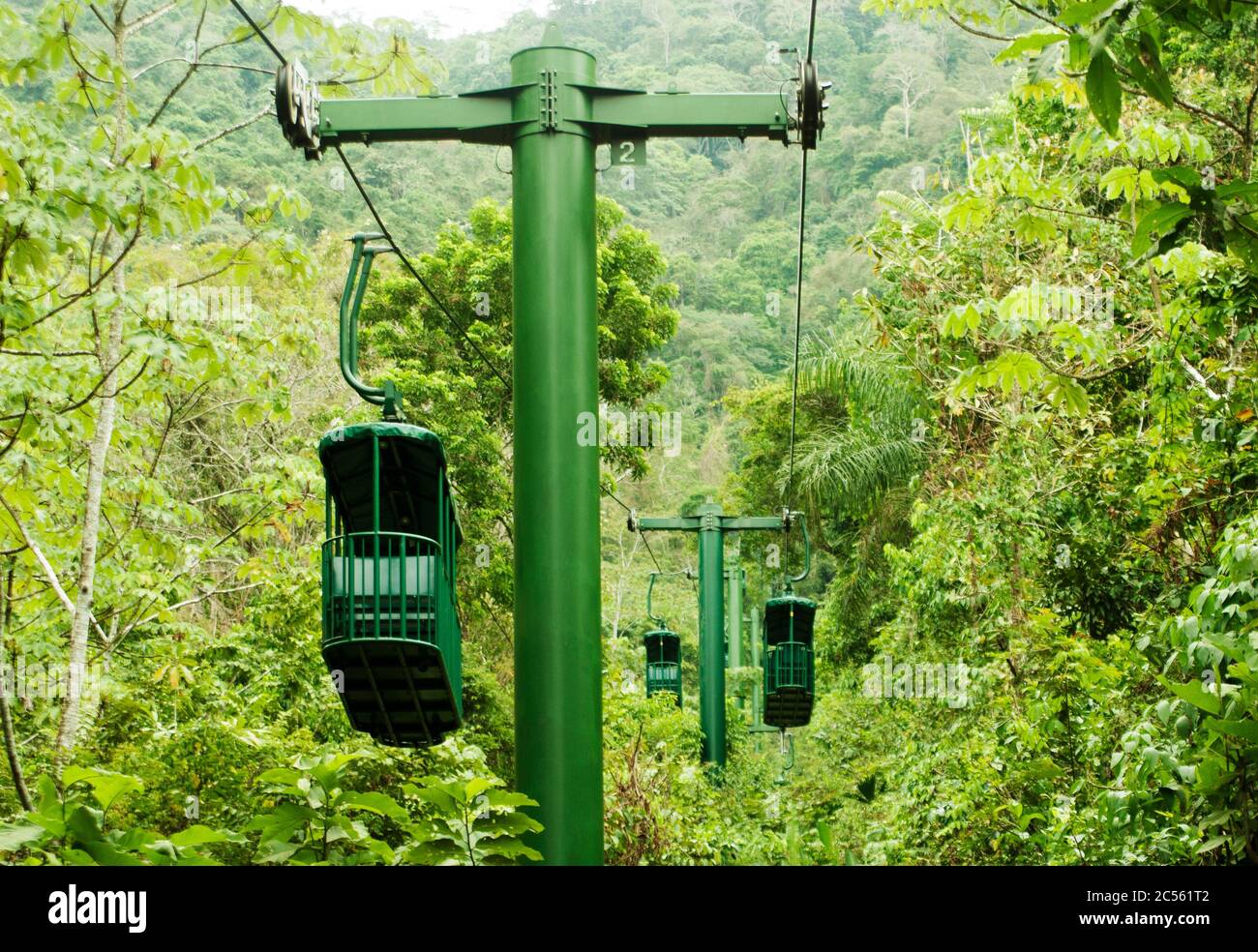 Tram through the rainforest, Costa Rica, Central America Stock Photo ...