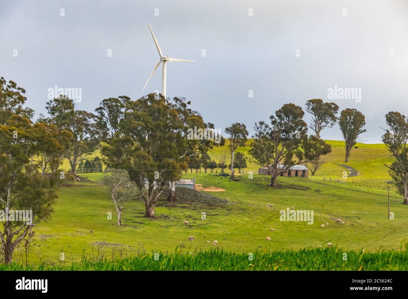 Rural landscape with wind turbines near Crookwell, Southern Highlands ...