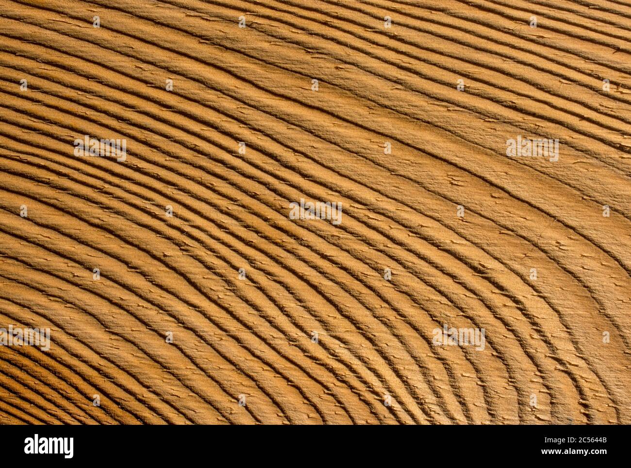 Timber background of wood texture. Abstract wood background Stock Photo ...
