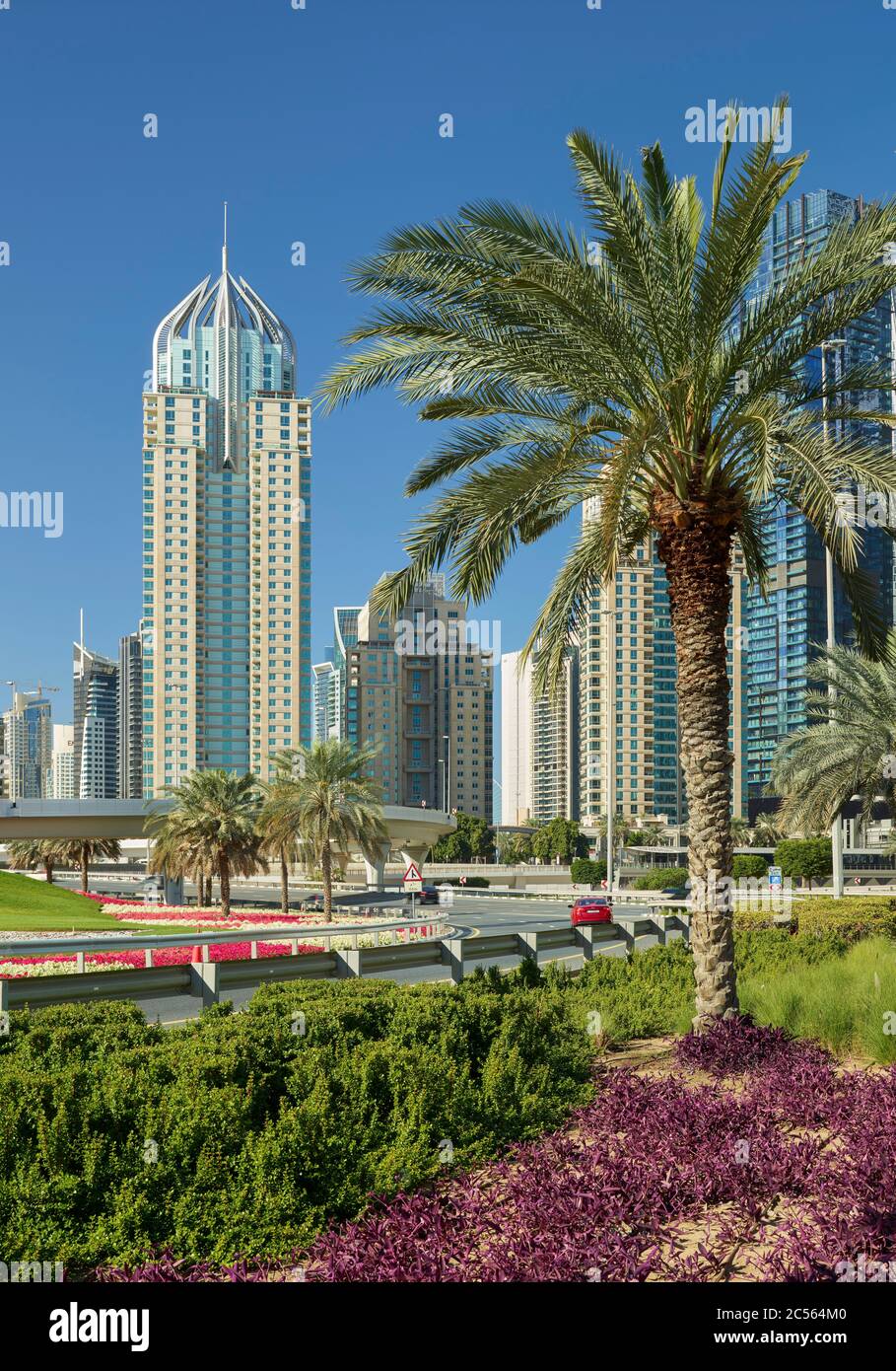 leafy interchange, palm trees, Sheikh Zayed Road, near Dubai Marina ...