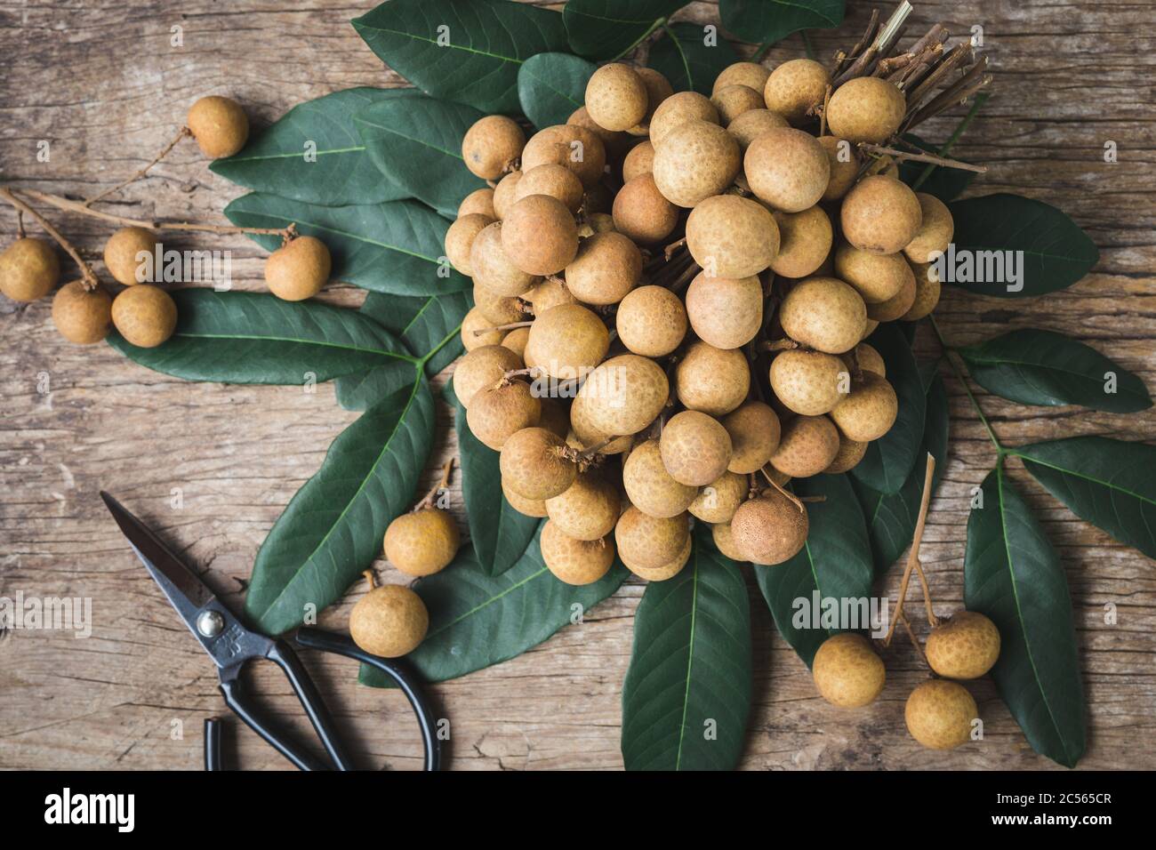 Fresh longan fruit Stock Photo - Alamy