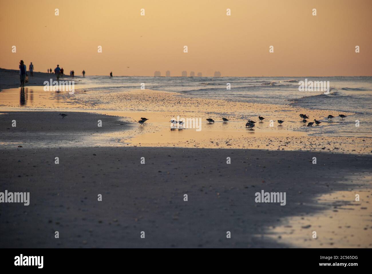 Breathtaking scenery of a beach during the golden hour with pink hues ...