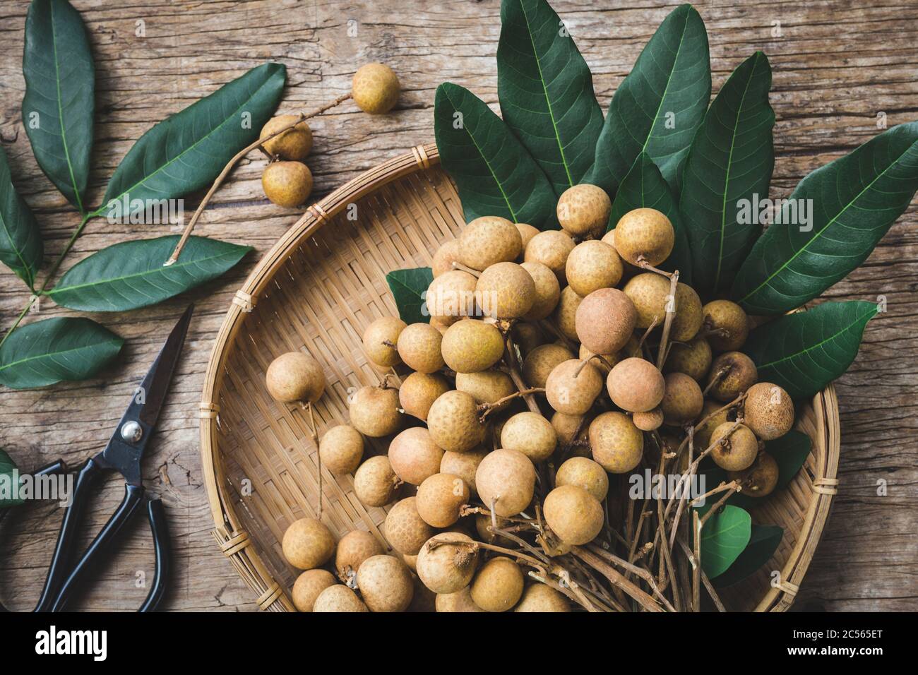 Fresh longan fruit Stock Photo - Alamy
