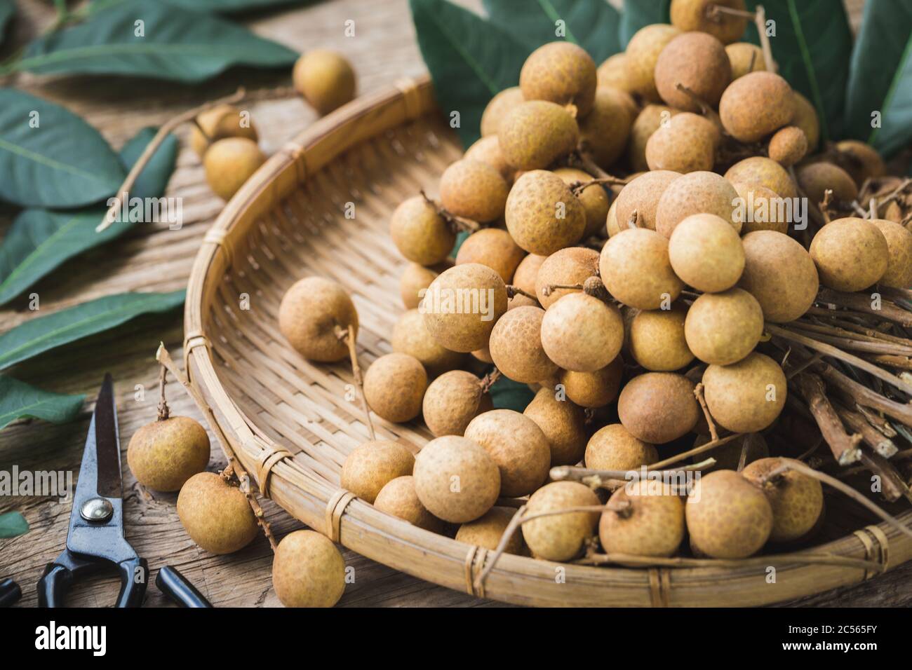 Fresh longan fruit Stock Photo - Alamy
