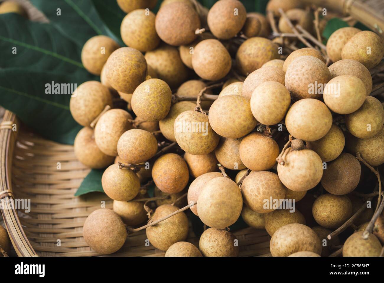 Fresh longan fruit Stock Photo - Alamy