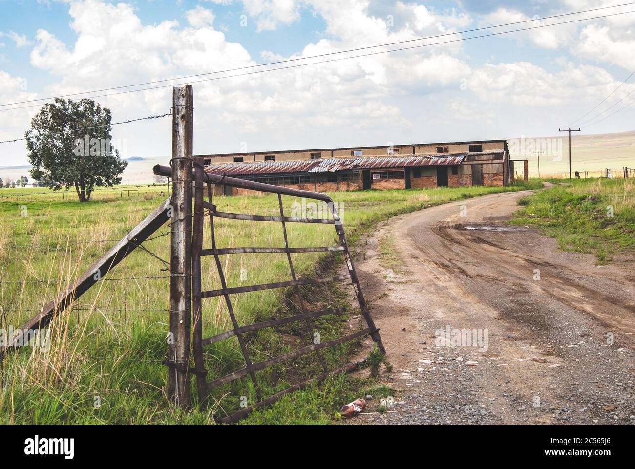 Paddy field entrance hi-res stock photography and images - Alamy