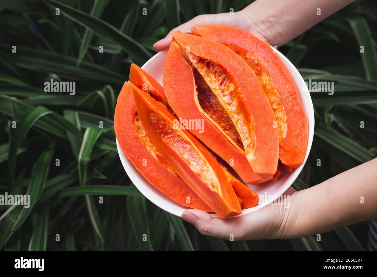 Ripe Paw Paw High Resolution Stock Photography and Images - Alamy
