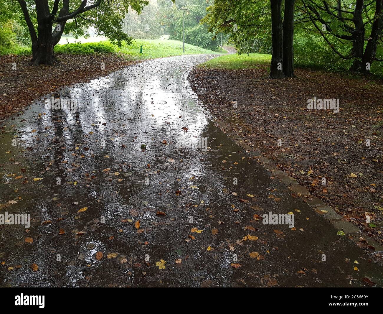 Park in rainy weather Stock Photo - Alamy