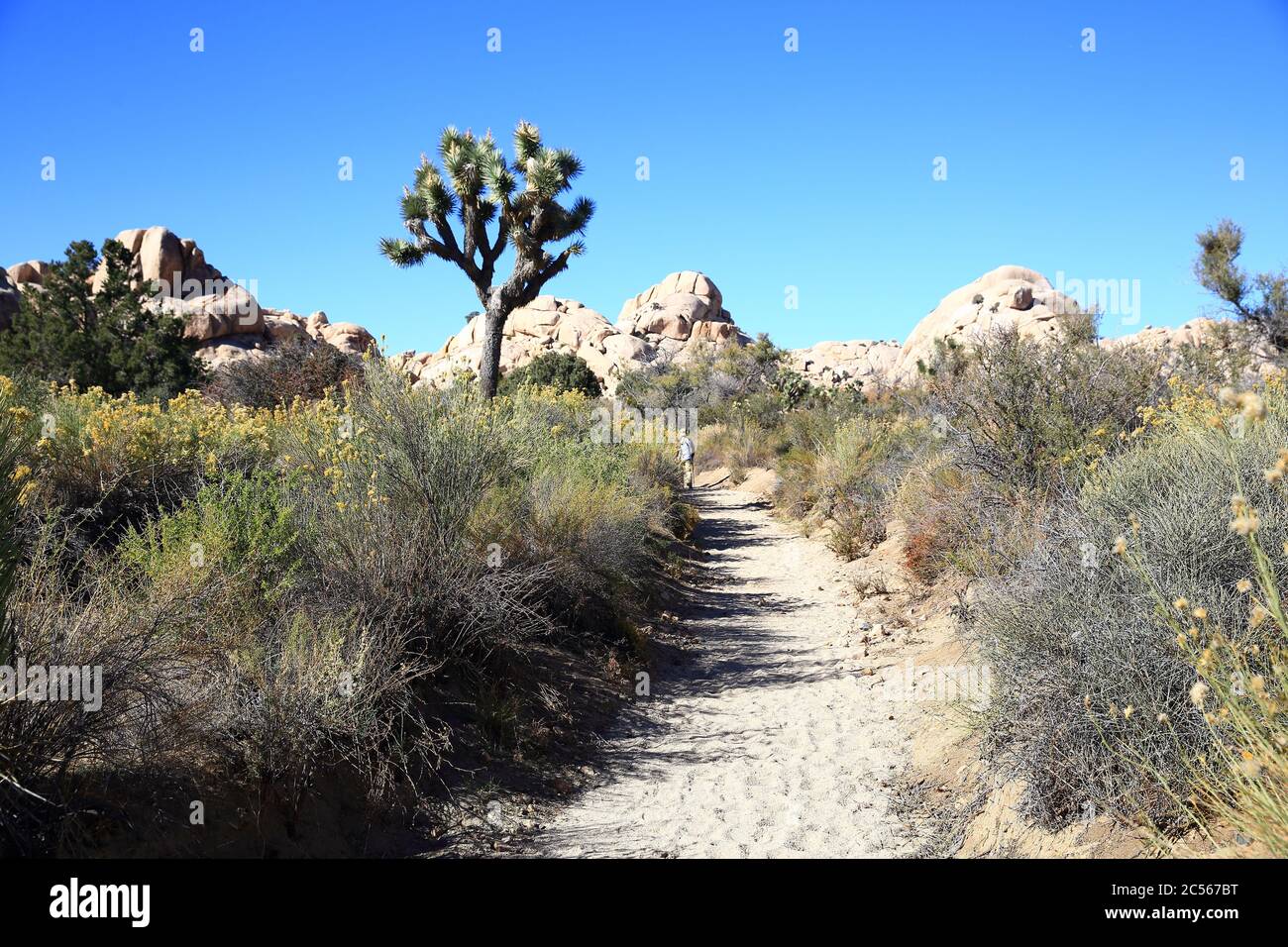 Exterior view entrance front attraction building tourist california hi ...