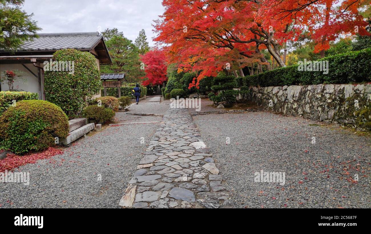Autumn colored garden in Tenryuji temple during autumn season in ...