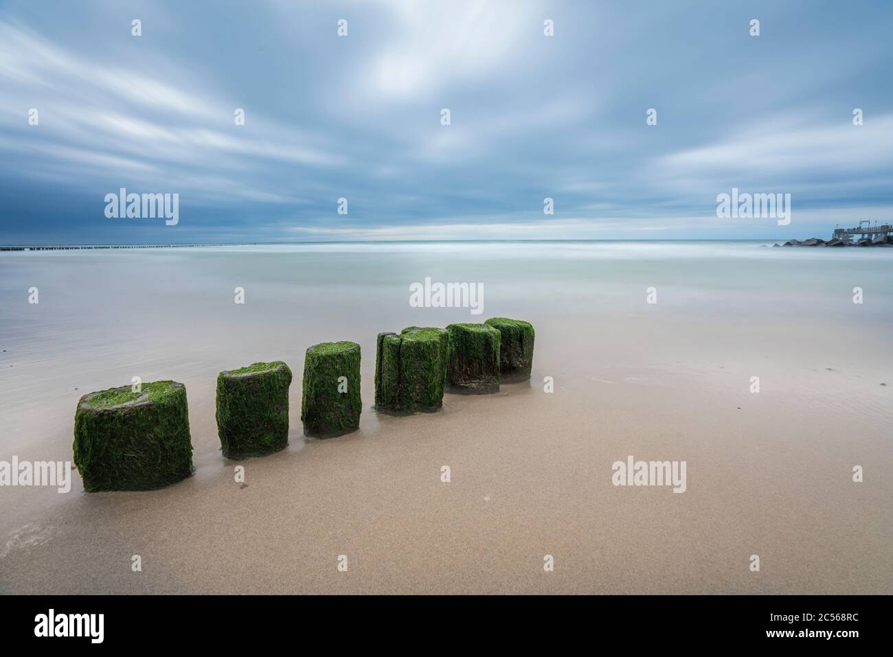 Wind blown timber hi-res stock photography and images - Alamy