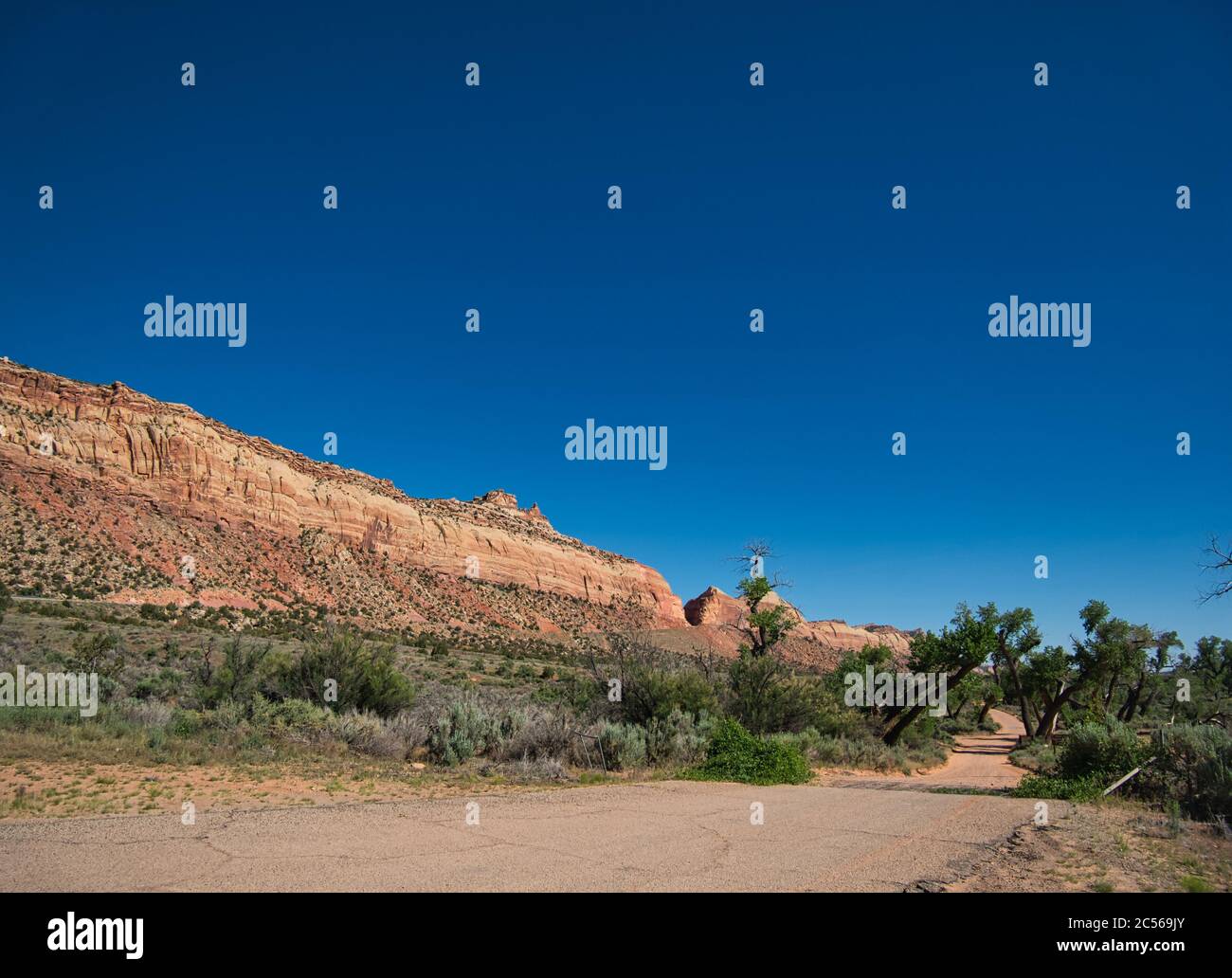 Sloping trees along the road with a mountain range in the background ...