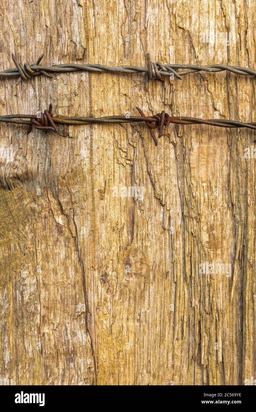 Background image, wood, barbed wire Stock Photo - Alamy