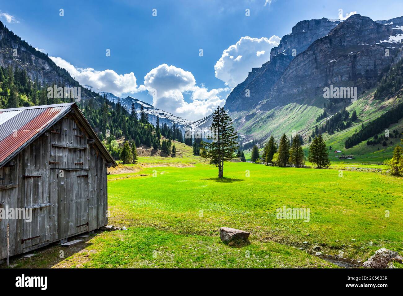 Spring Mountain Landscape Photography