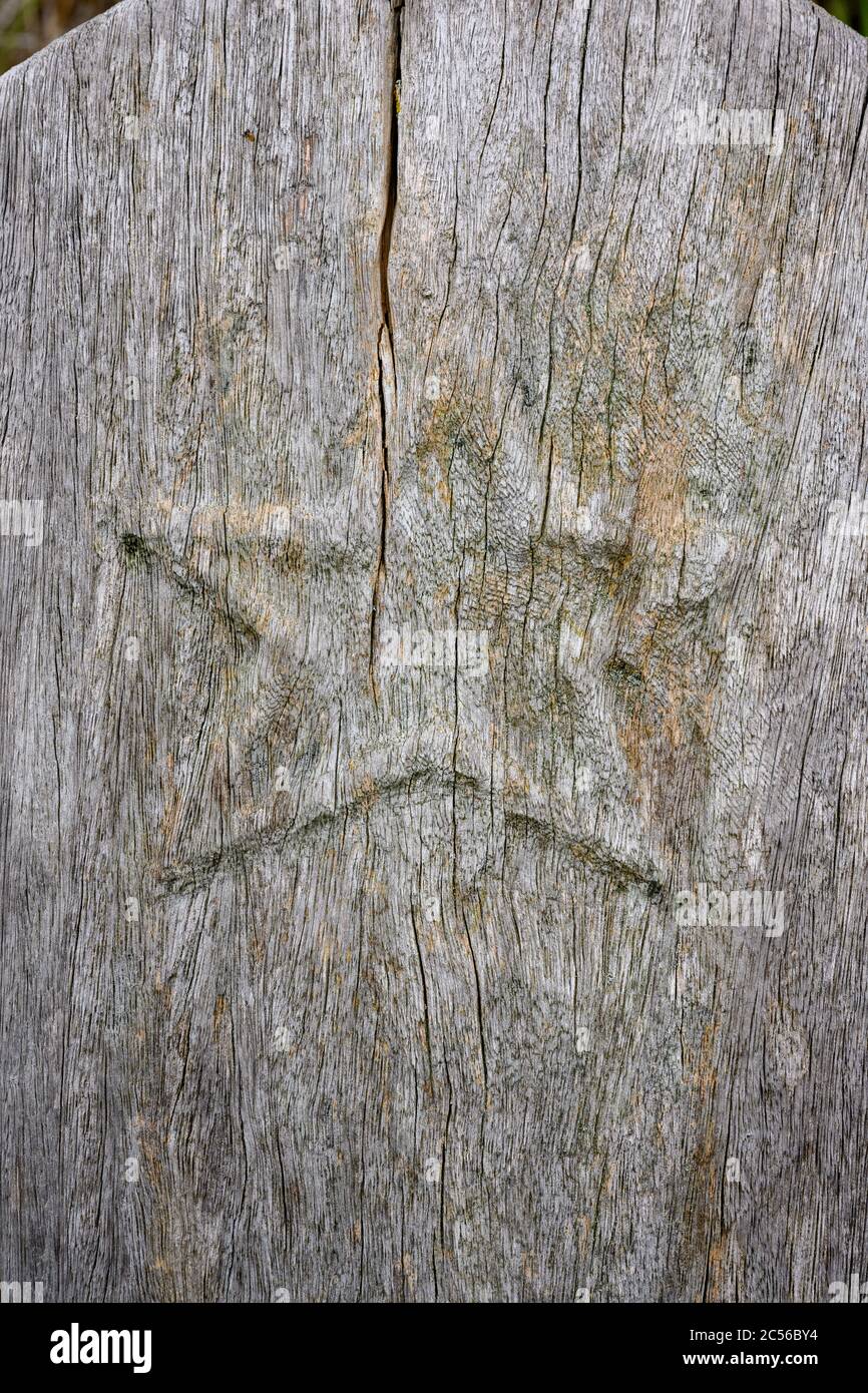 Grayed-out old wooden structure with star relief Stock Photo - Alamy